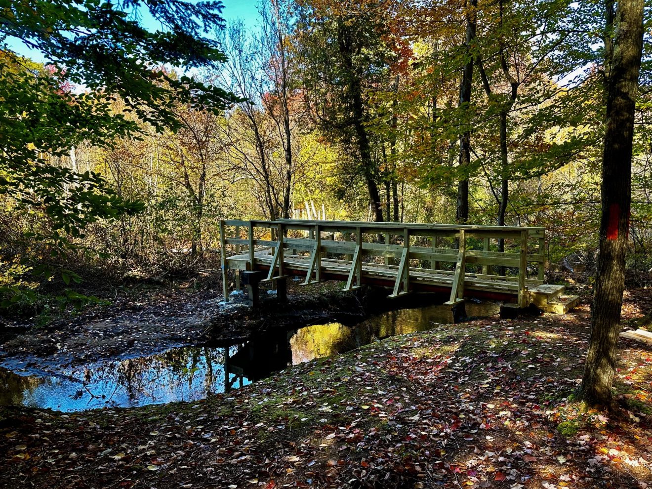 Duck Creek Natural Area – Fruitland Township